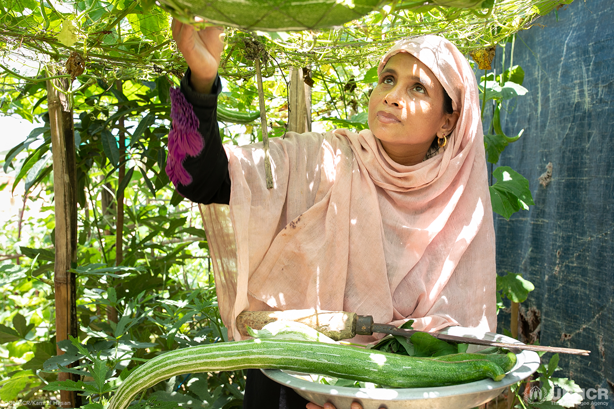 Going green in a Rohingya refugee camp