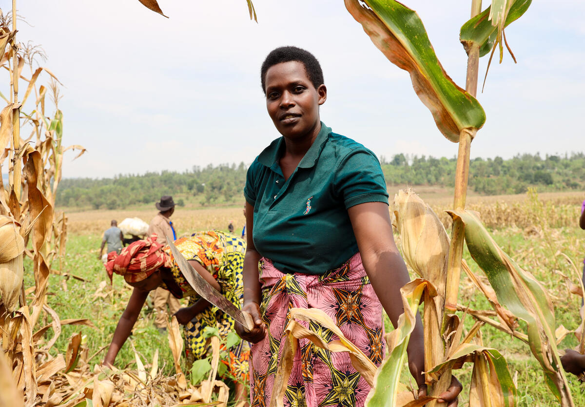 How to Help Refugees — Aid, Relief and Donations | USA for UNHCR