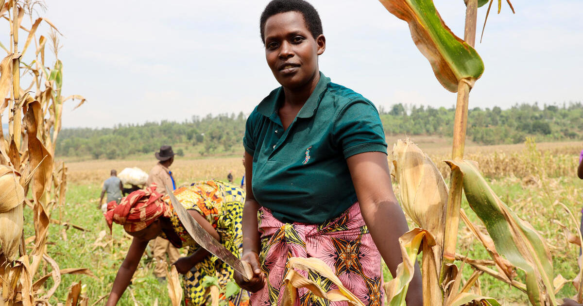World Rural Development Day: Refugee-Led Farming Projects That Are ...