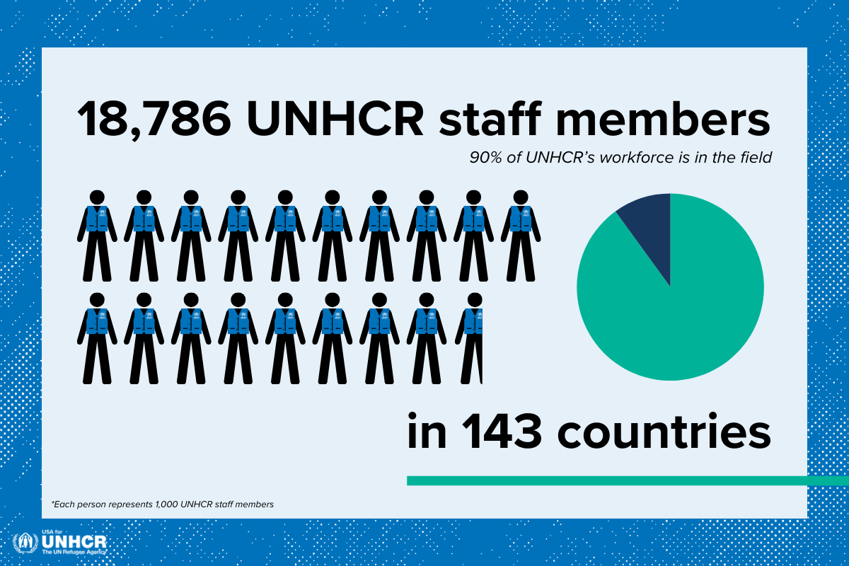 UNHCR’s 2024 Impact Report: How donations transformed lives