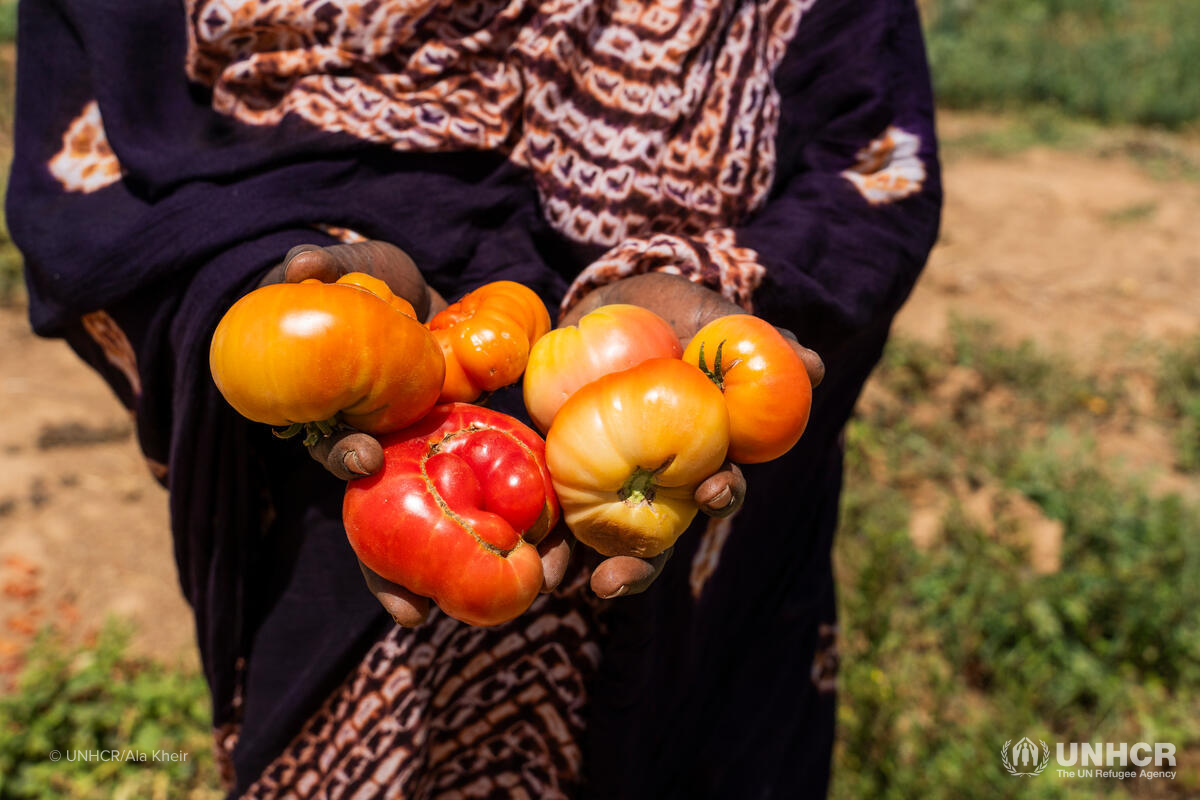World Rural Development Day: Refugee-Led Farming Projects That Are ...